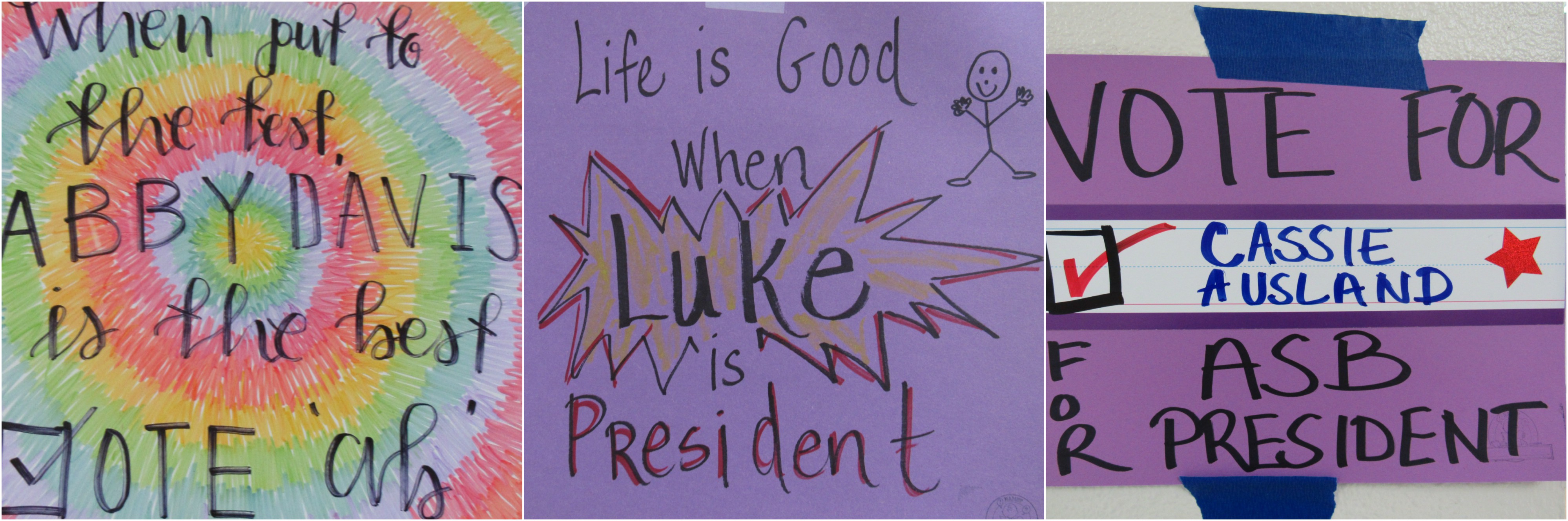 Guide to 2018-2019 ASB Elections | The Seahawk